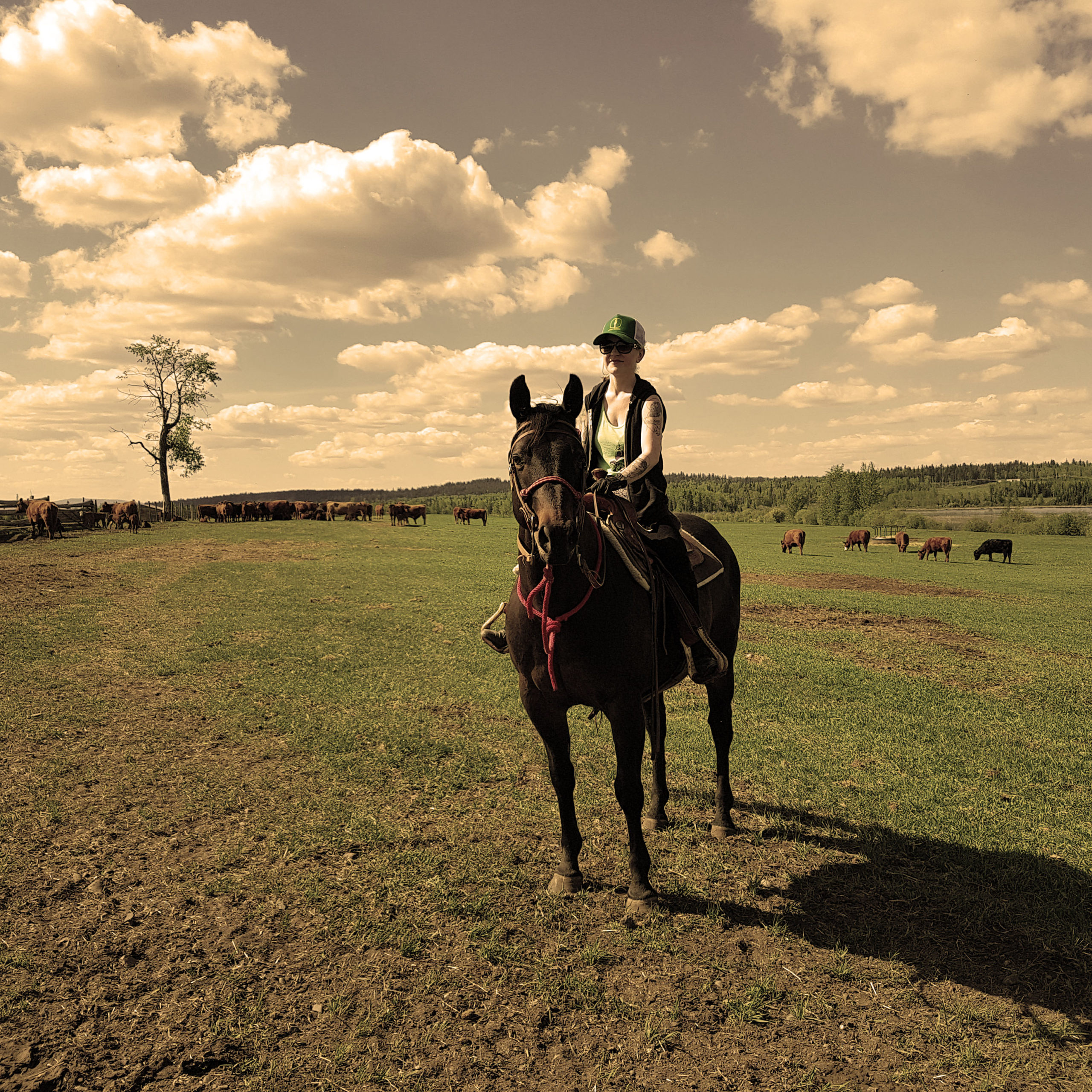 About ~ I Review Westerns