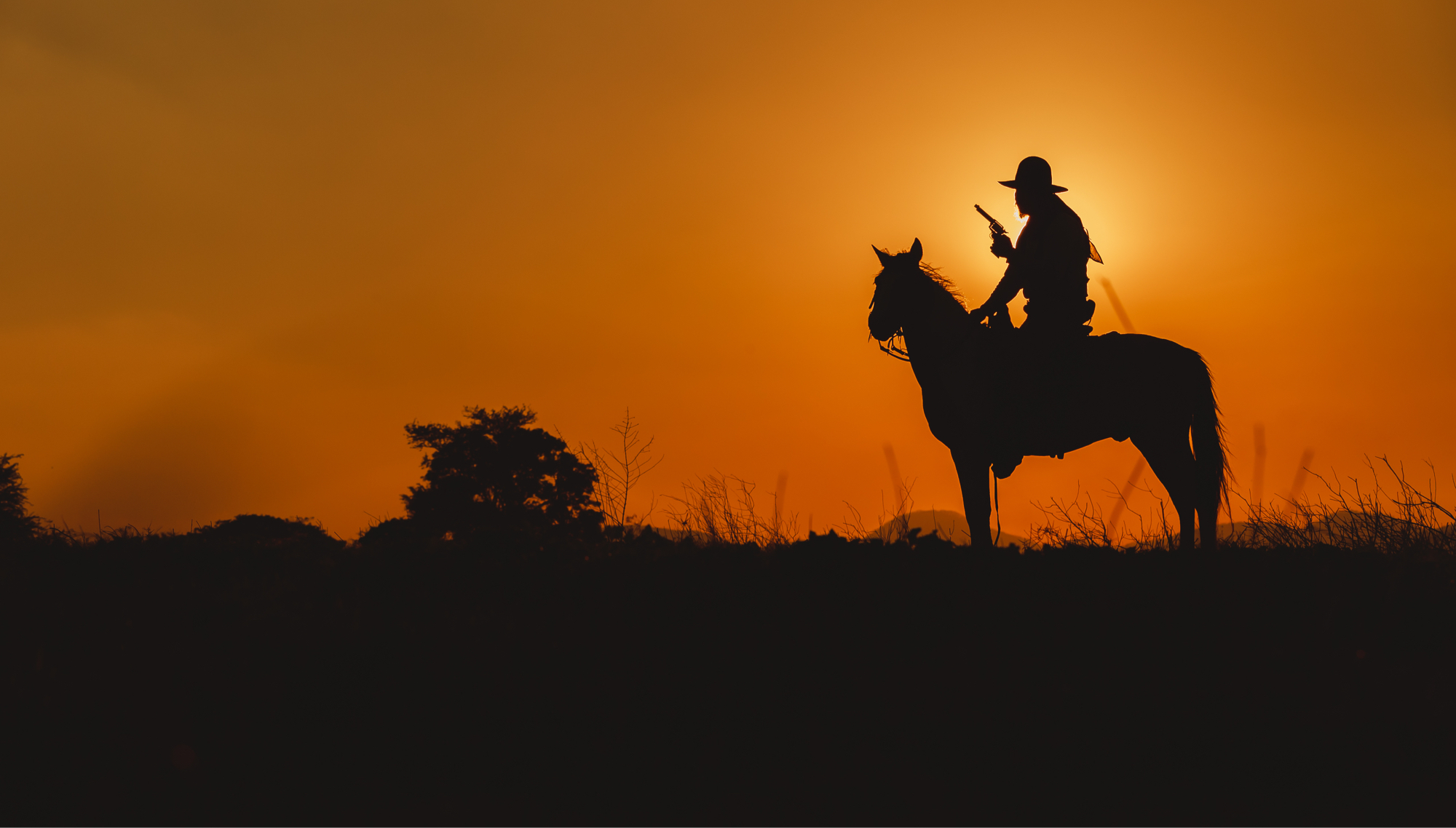 Books ~ I Review Westerns