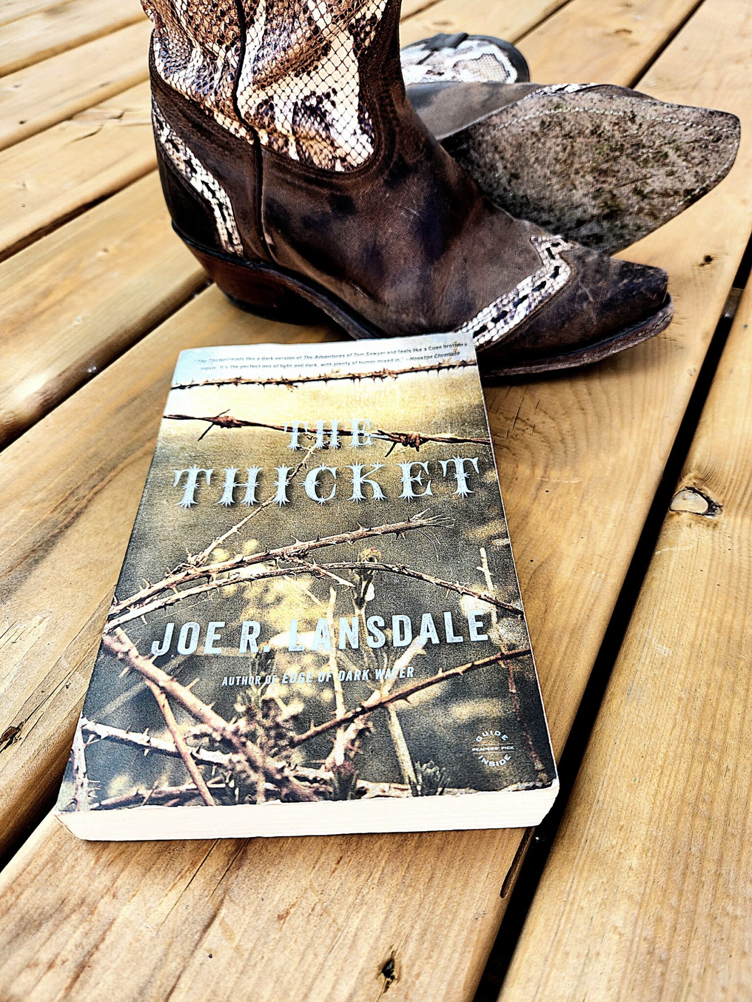 The Thicket (Book) ~ I Review Westerns